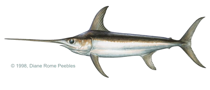 IGFA Member Services